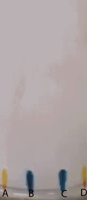 home chemistry -food dyes-chromatography-separating mixtures