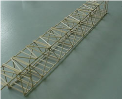 Physics-Structures-Building model bridges